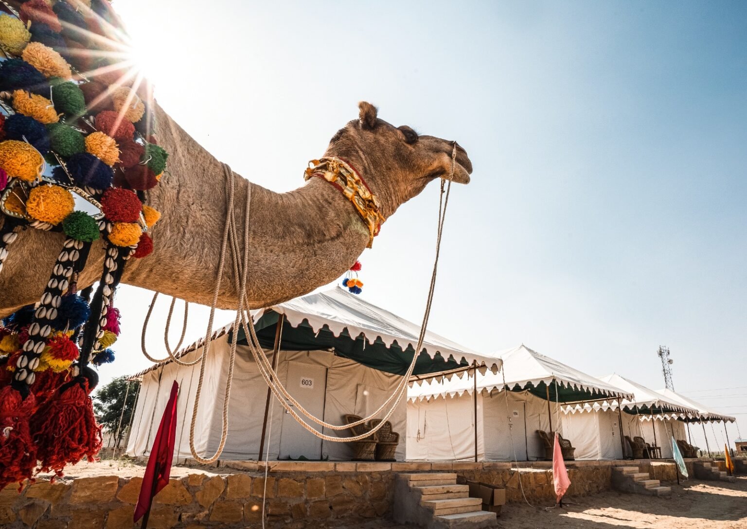 Home - KK Desert Resort & Camp